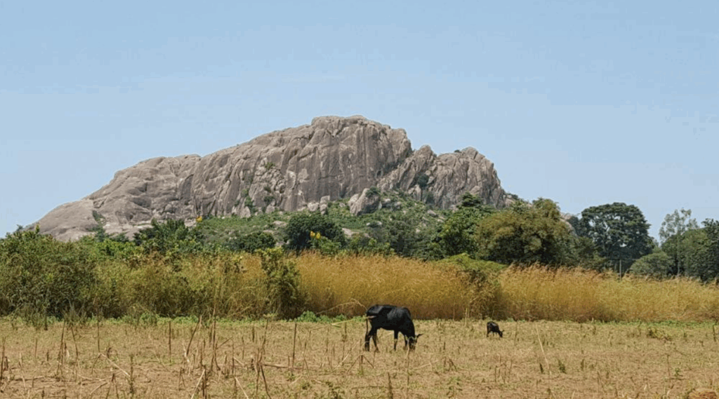 Amazing Facts About The Infamous The Ngora Rock Uganda