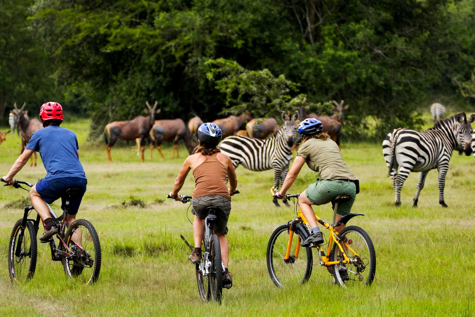 What Makes Uganda’s National Parks Unique?