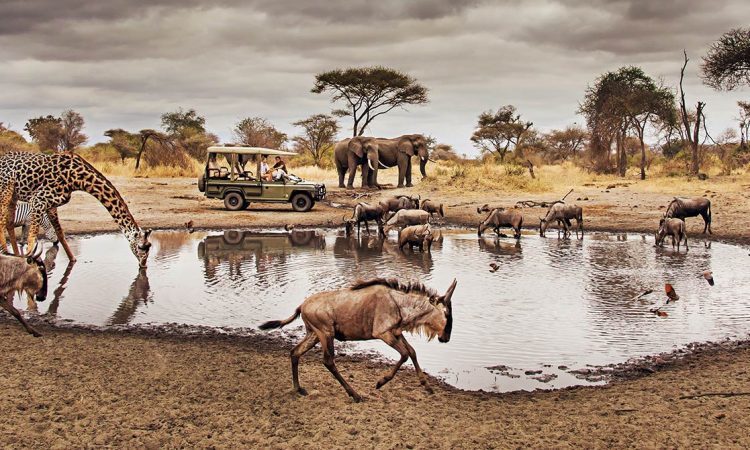 Top Cross-Border Countries To Visit On Self Drive In Uganda